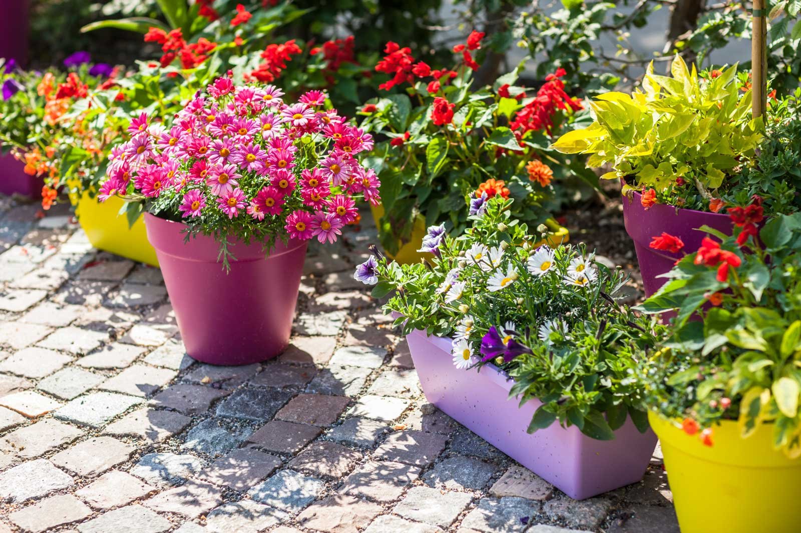 Container Gardening with Custom Round Garden Pots