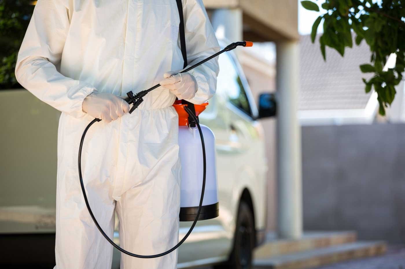 5 Major Signs of a Pest Infestation in Your Home