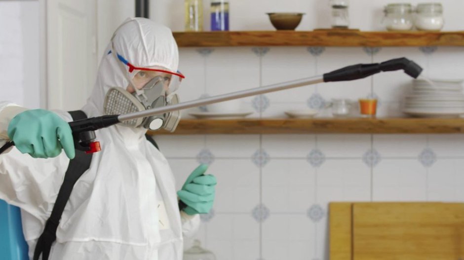 Safeguarding Environments: The Necessity of Pest Control Across Diverse ...